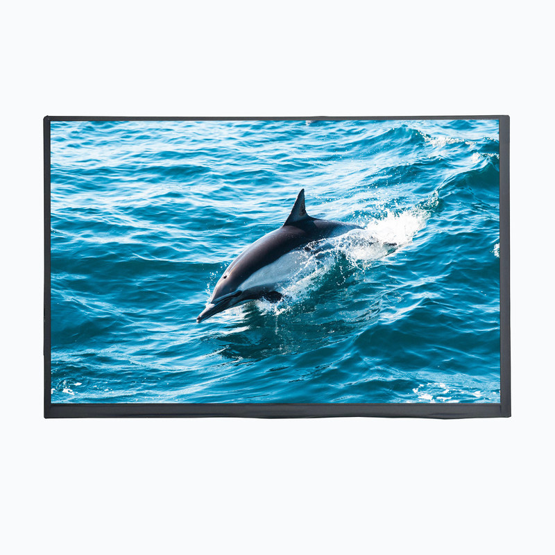 10.1 Inch 1280x800 TFT LCD Display With EM Touch EDP Interfaces TCON Connector Interface IPS ...