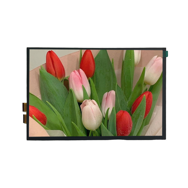 10.1 inch Landscape TFT LCD Module with 45pin LVDS Interface and High ...